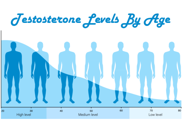 Boosting Testosterone with Leg Day: Fact or Bro-Science? - Pursuit of Prime